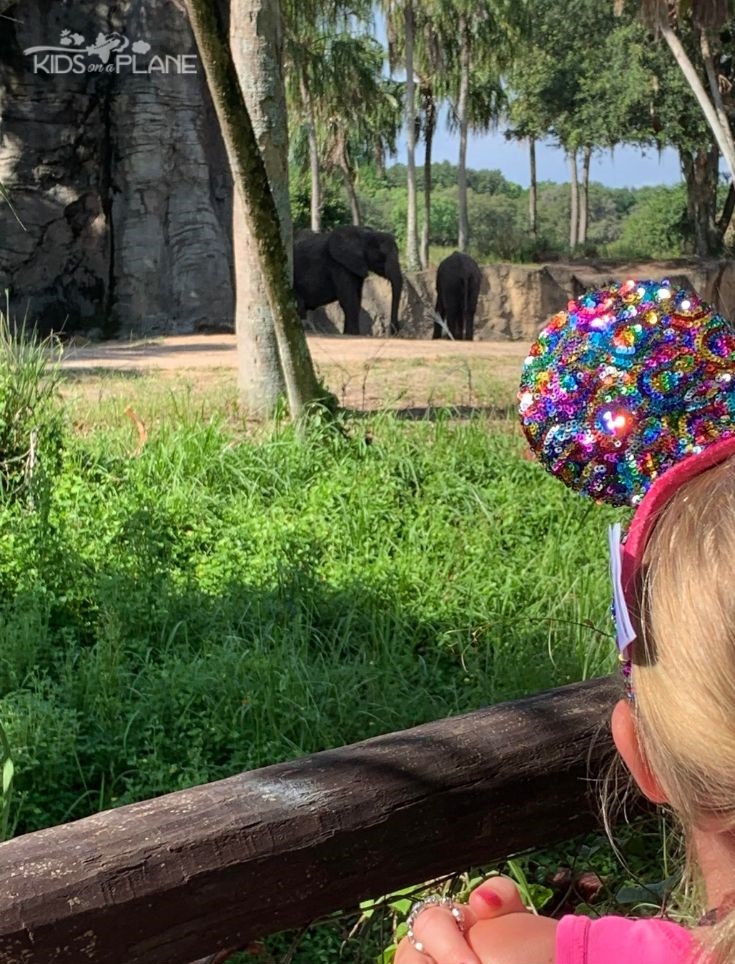 7 Best Splurges at Walt Disney World for Families with Kids - Practical ...